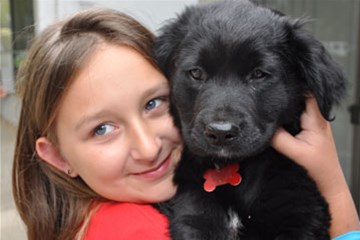 God and Dog: A Spiritual Reflection | UMC.org