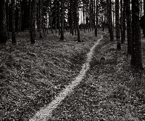 A guided path | UMC.org