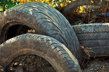 Good for the Earth, Good for People | UMC.org