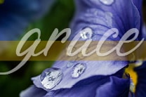 The Wesleyan Concept of Grace | UMC.org