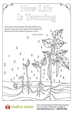 Coloring Advent: Creative devotions for Christmas