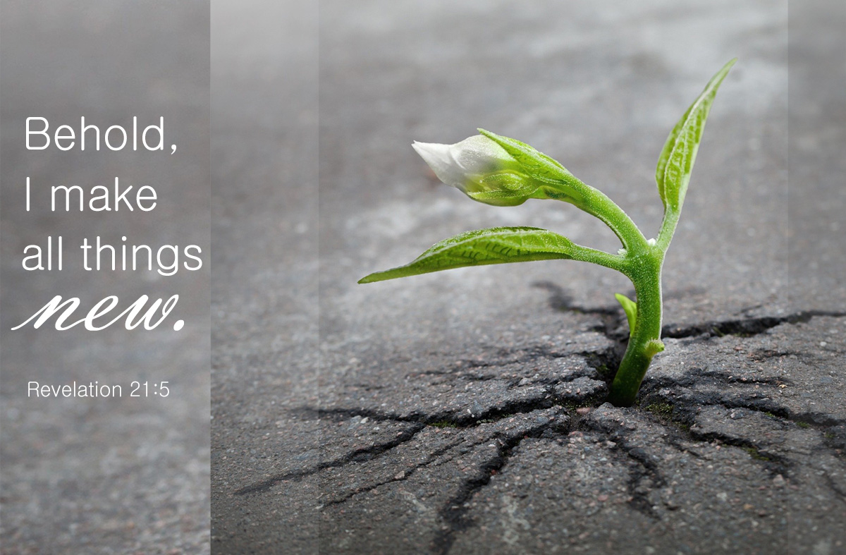 What is our end goal as United Methodists? Is it just heaven? | UMC.org