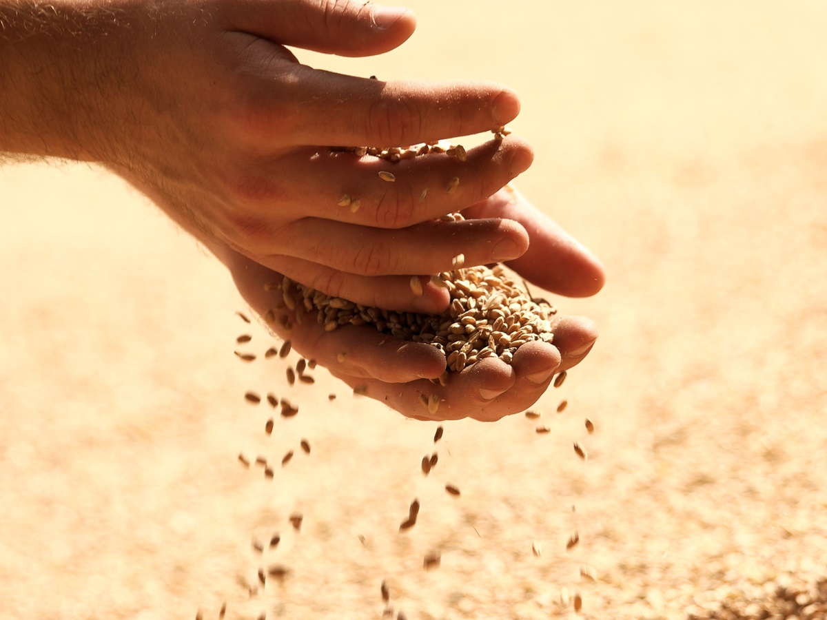 Let's end world hunger: Compass Podcast episode 41 | UMC.org