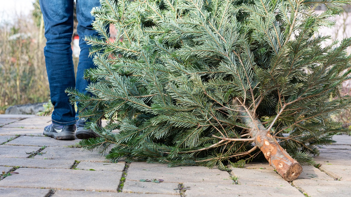 What Happens After Christmas? | UMC.org