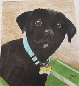 Altus man draws pets to raise funds for blessing boxes