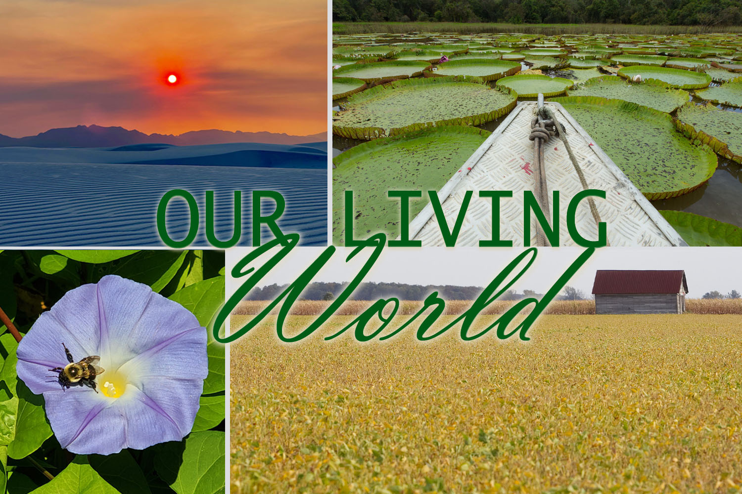 Ask The UMC: Our Living World series